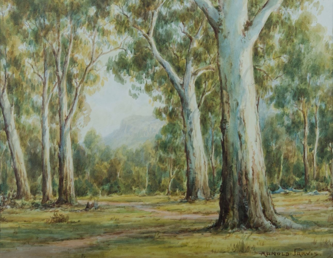 Arnold Jarvis | The Bush at Halls Gap | MutualArt