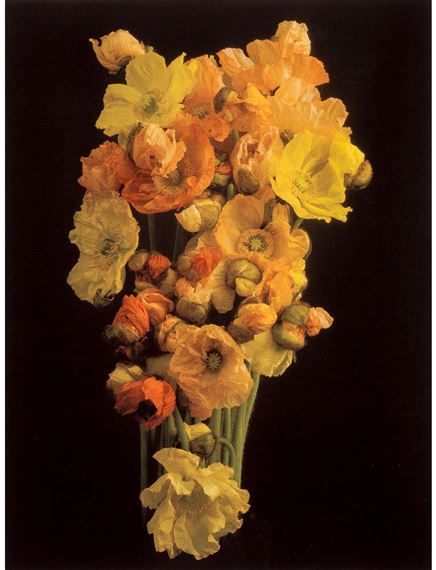 Jonathan Singer | Floral bouquet of orange and yellow flowers (2008 ...