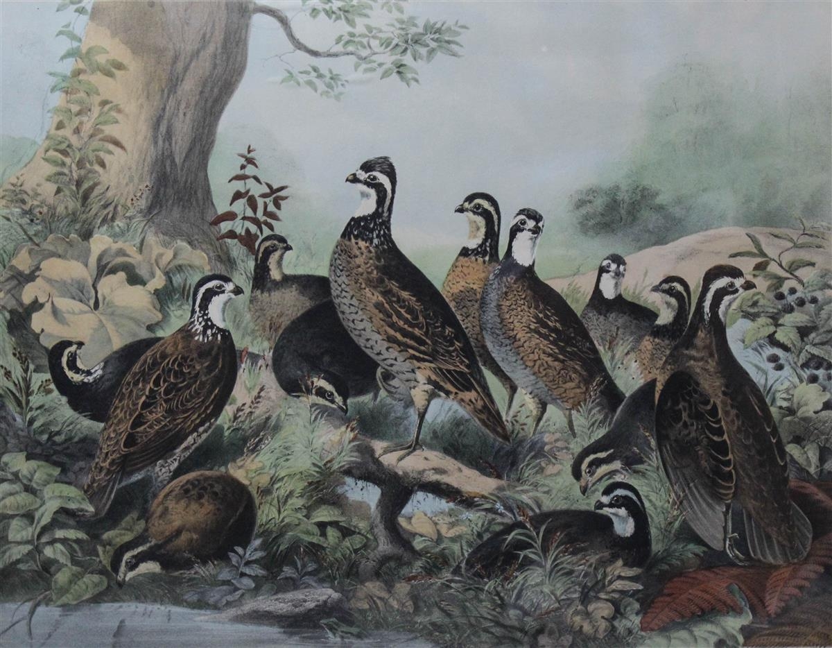 J.S. Hill | A BEVY OF QUAIL; THE CARES OF THE FAMILY | MutualArt