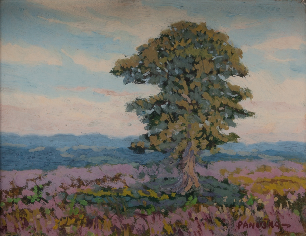 Jaroslav Panuska | TOADSTOOLS (Early 20th Century) | MutualArt