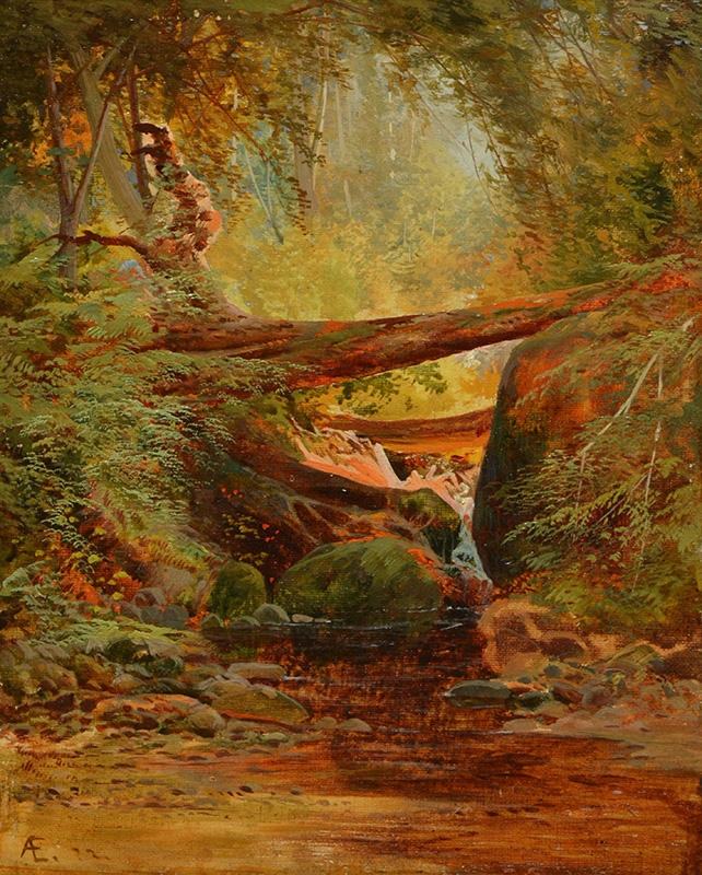 Aaron A. Edson | Steam in the woods | MutualArt