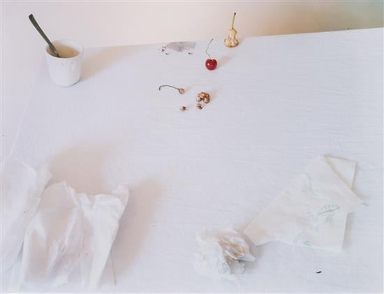 Laura Letinsky | 43 Artworks for Sale on MutualArt