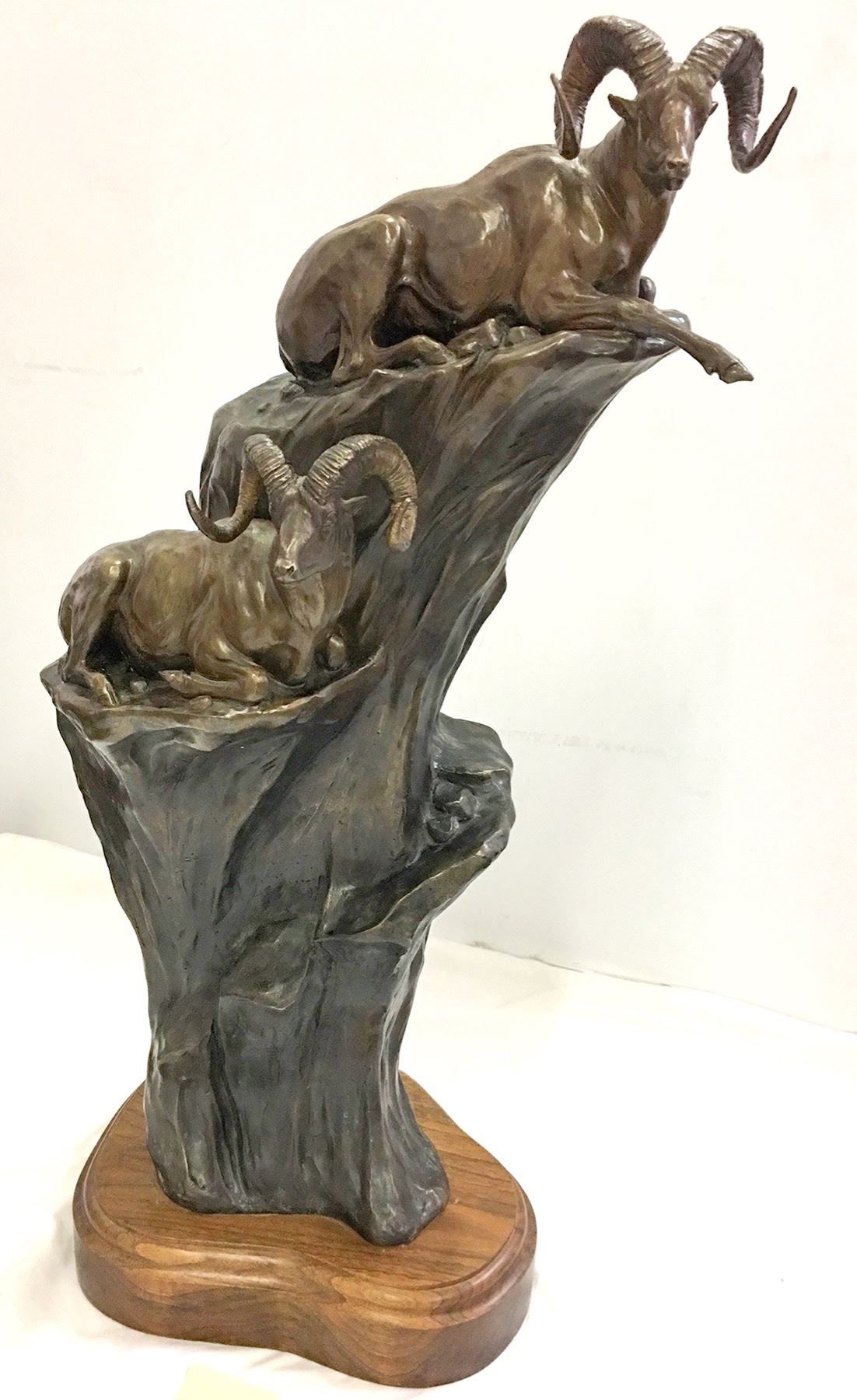 Terry Murphy | Bedded Dall Rams (1984) | MutualArt