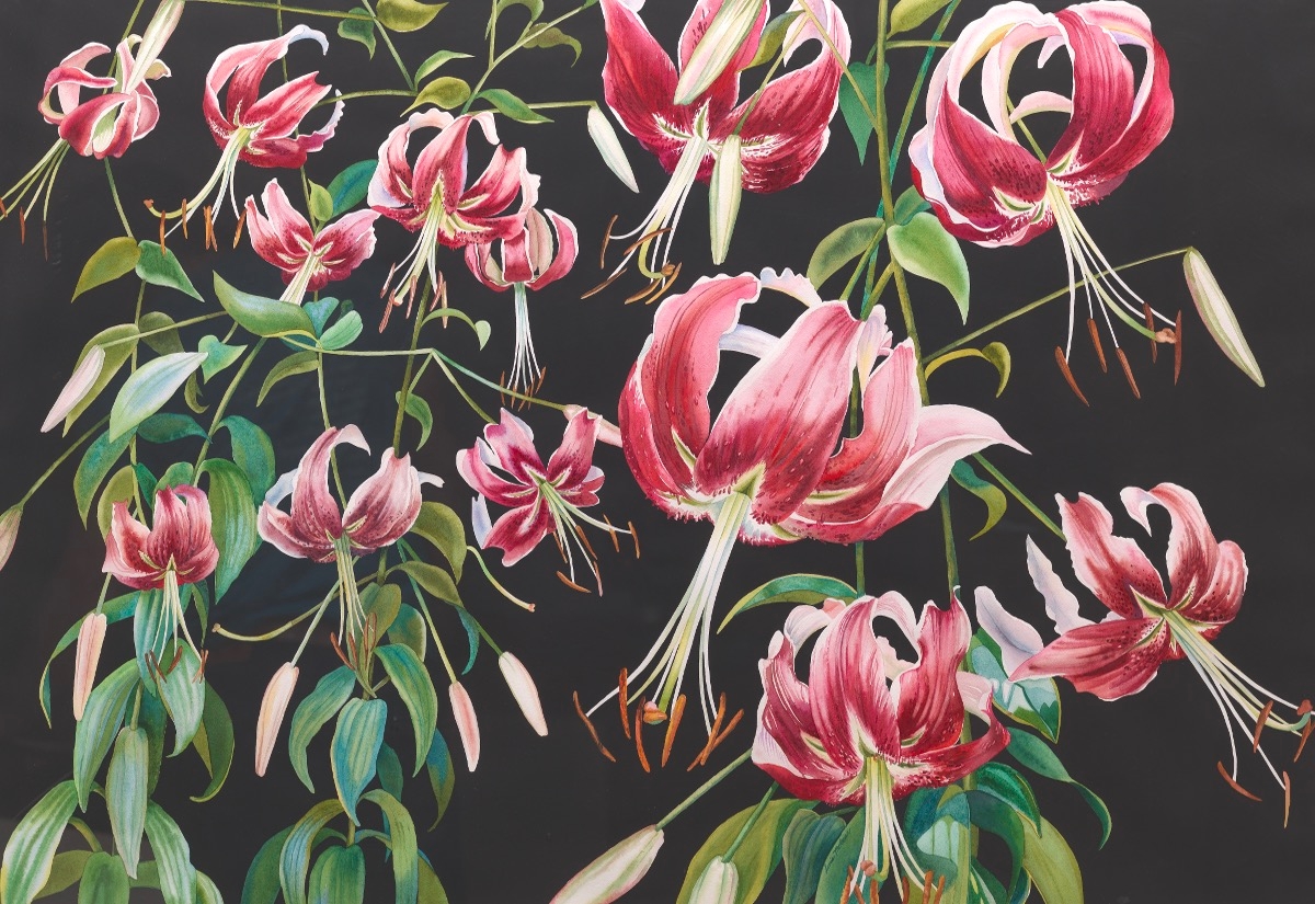 Sonia Molnar | Rubrum Lilies | MutualArt