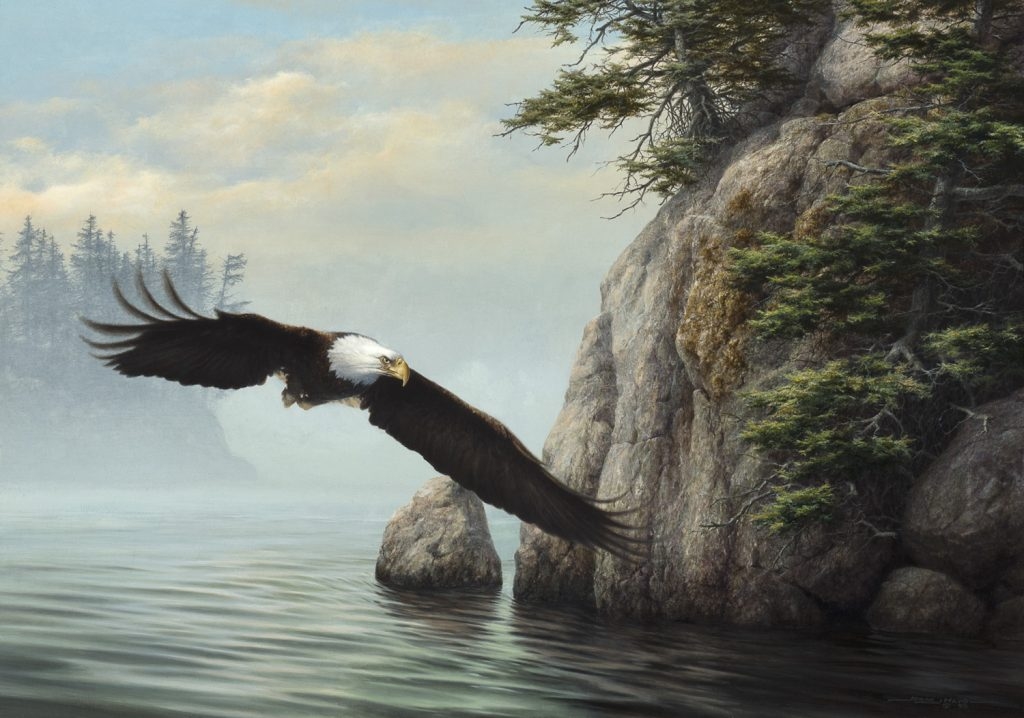 Jorge Mayol | Still Waters | MutualArt