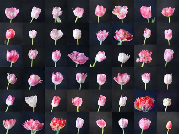 An Expert Guide to Art and Artificial Intelligence