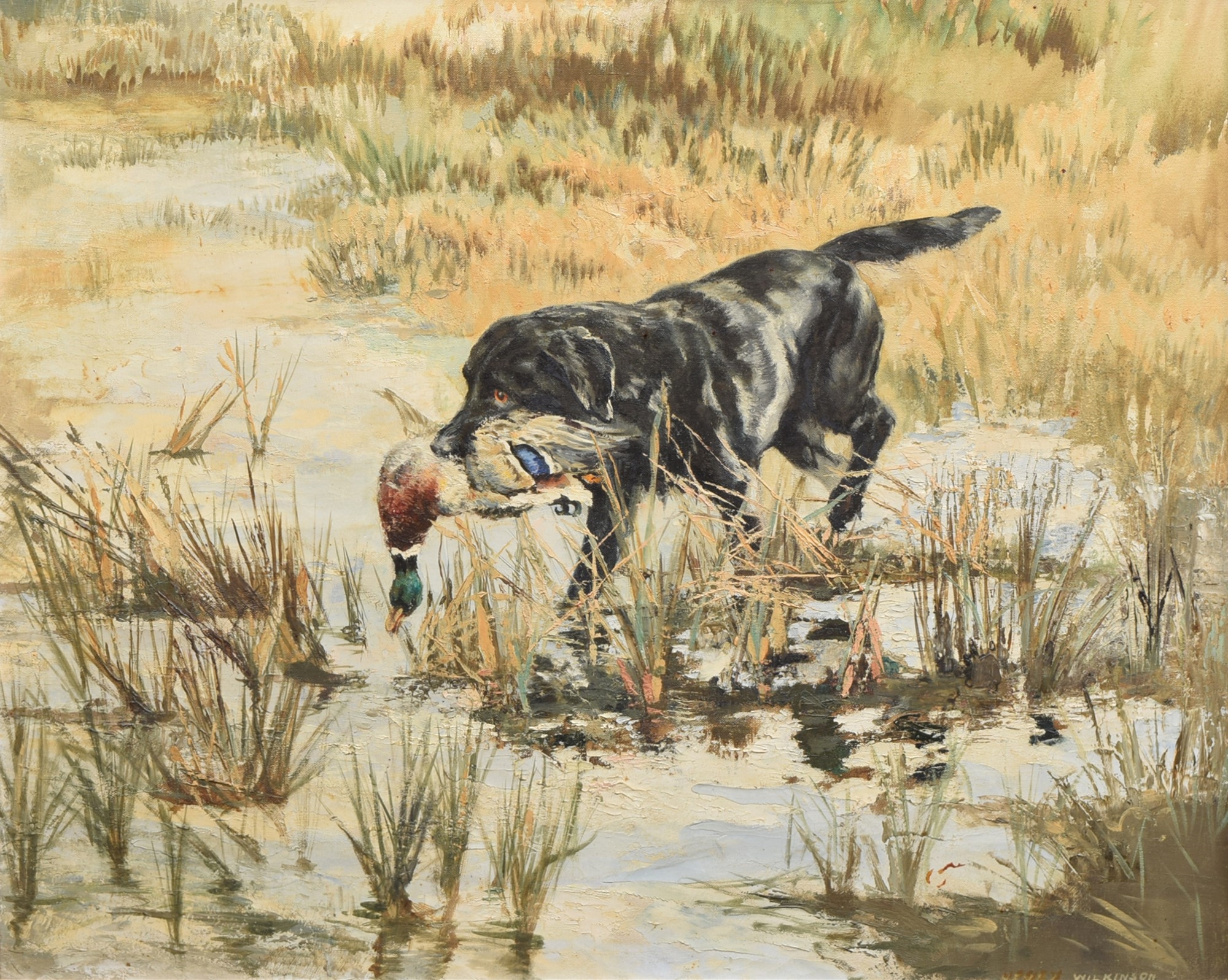 Black Lab Duck Hunting Painting