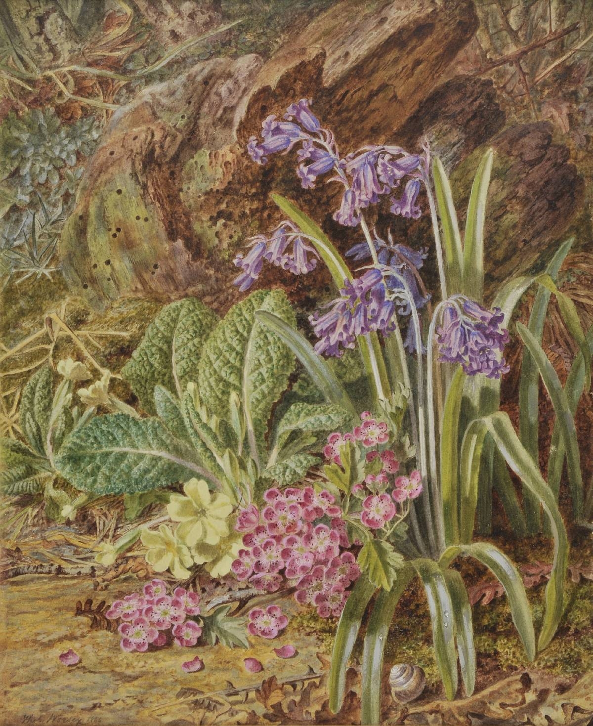 Thomas Worsey | Flowers in a mossy crevice (1866) | MutualArt
