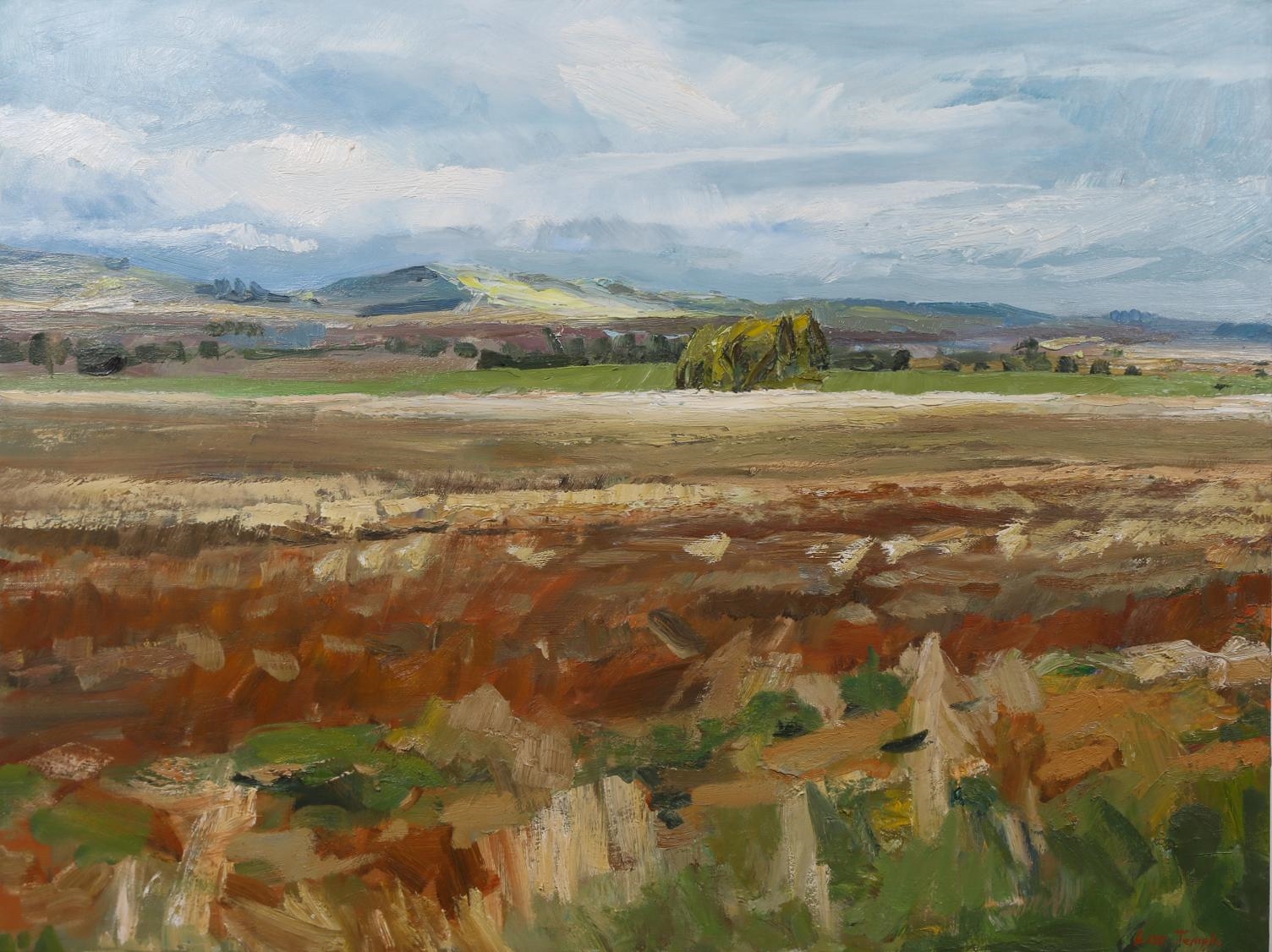 Lise Temple | Tarlee Impressionist | MutualArt
