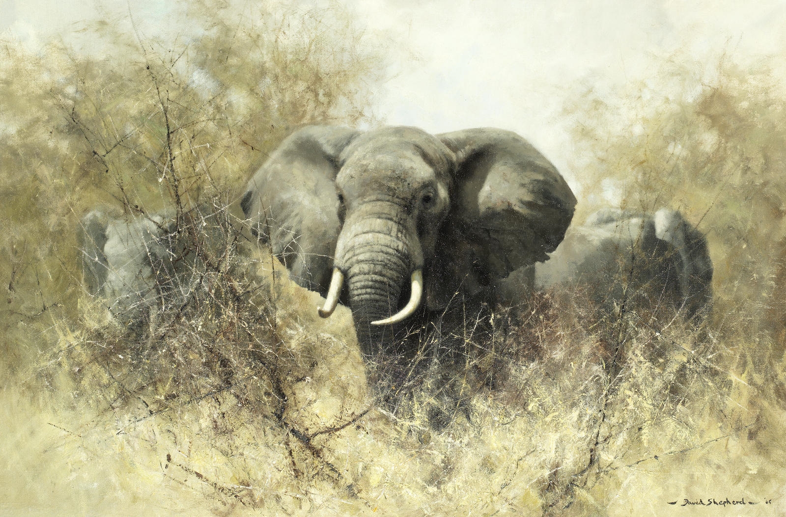 David Shepherd | Elephants at Amboseli | MutualArt