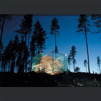 Ilkka Halso | 12 Artworks at Auction | MutualArt