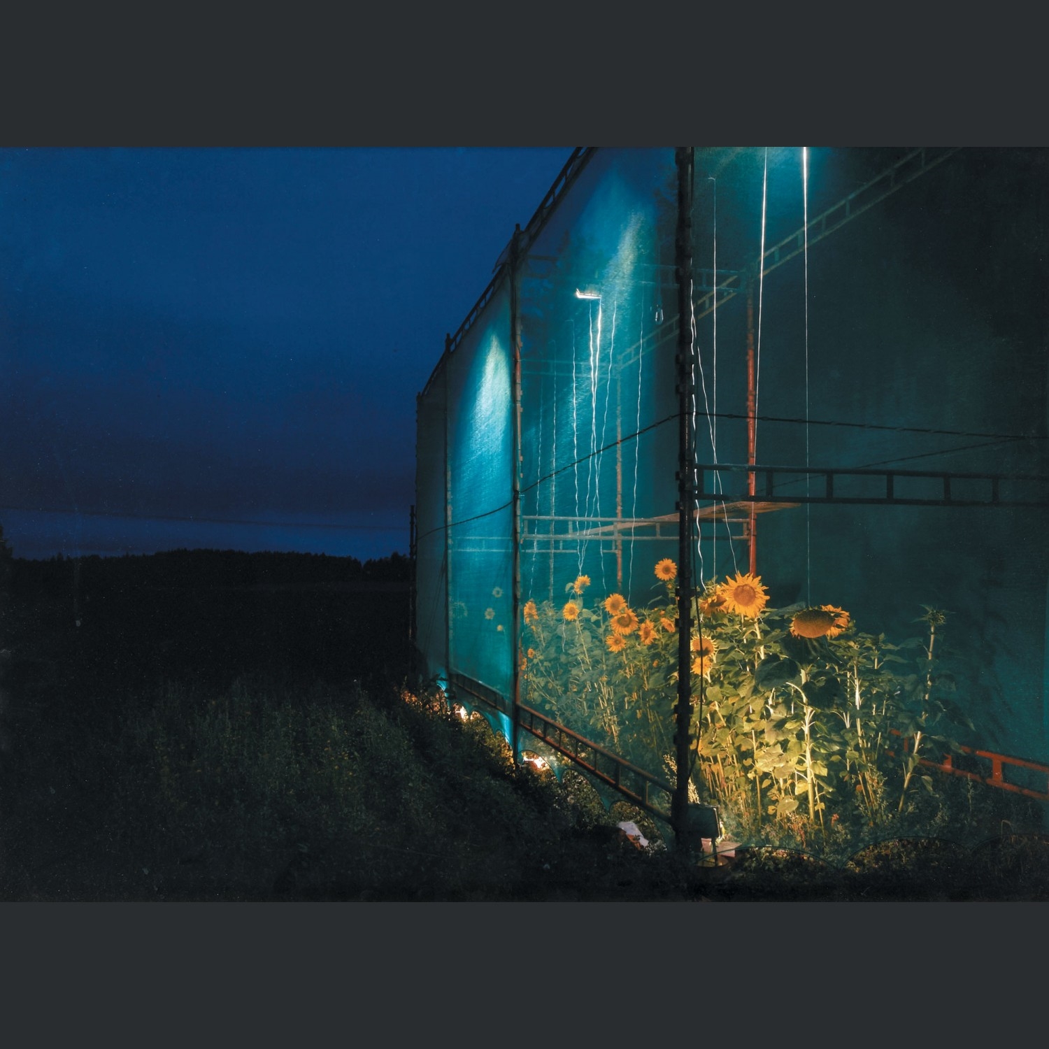 Ilkka Halso | 3 works: Untitled (2000) | MutualArt