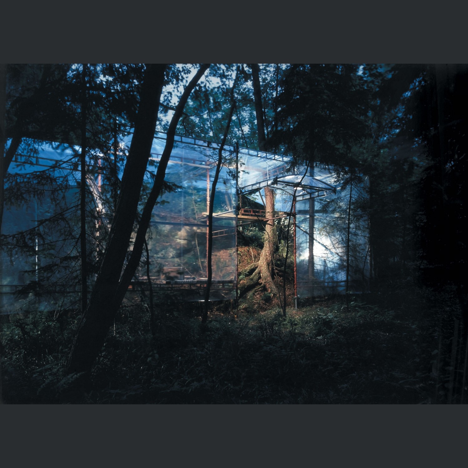 Ilkka Halso | Rollercoaster from 'Museum of Nature', 2004 (2004 ...