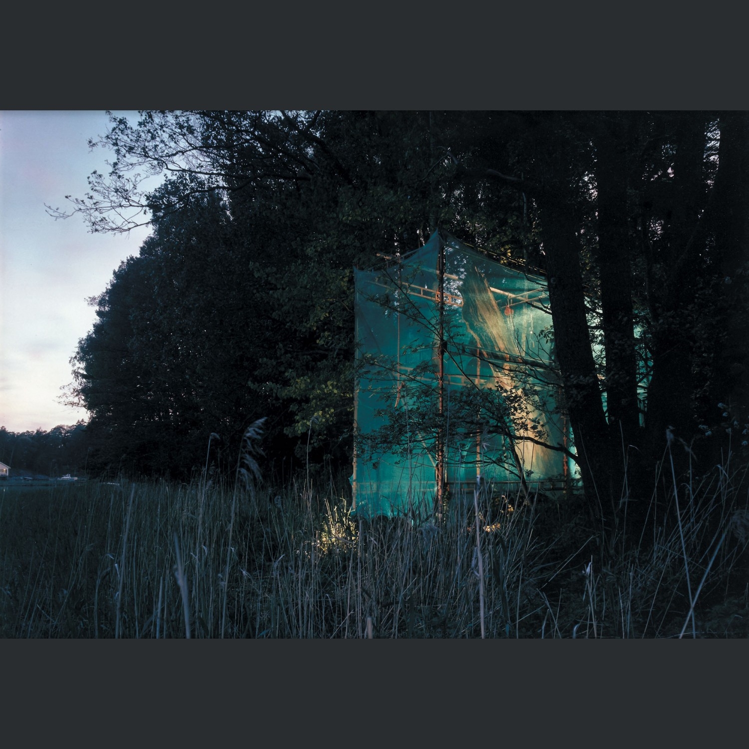 Ilkka Halso | Untitled (4) (2000) | MutualArt
