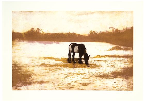 Peter Doig | Pinto (from 100 Years Ago) | MutualArt