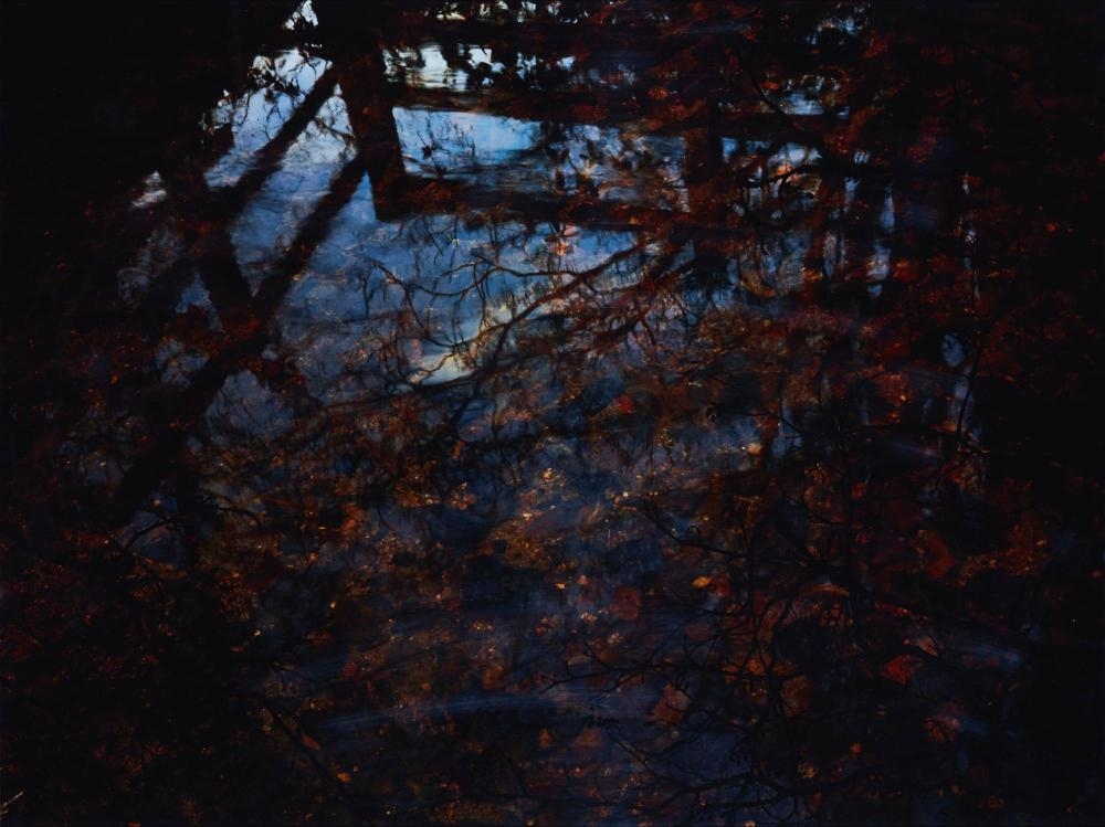 Susan Derges | Red Brook, 2012 | MutualArt