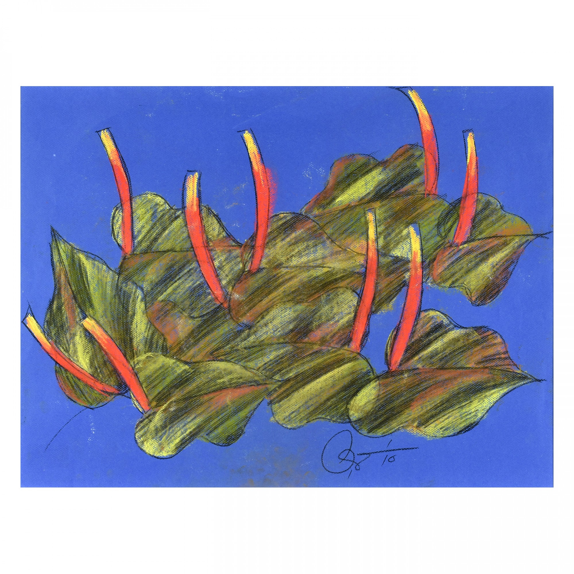 Romulo Olazo | Anthurium (2010) | MutualArt