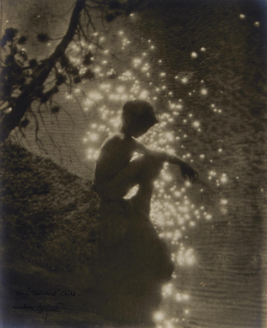 Anne Brigman | Stardust (Circa 1910) | MutualArt