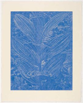 Gertsch Franz | Gelber Enzian (Sepia) (2003) | MutualArt