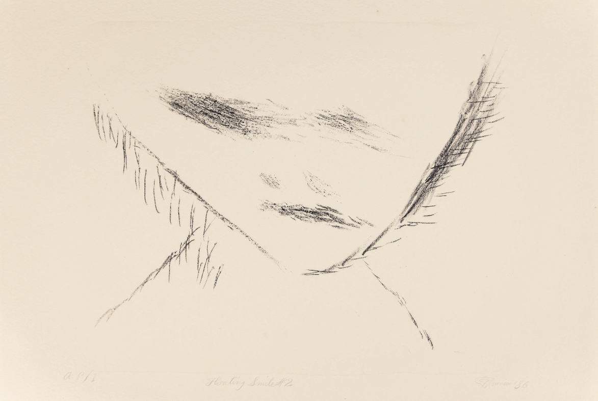 Tony Fomison | Floating Smile #2 (1986) | MutualArt