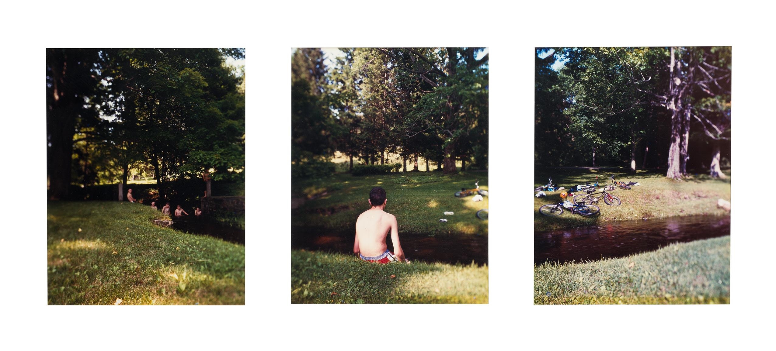 David Hilliard | Triptych: Swimmers (2003) | MutualArt