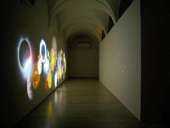 Daniel Canogar | Blind Spot (2008) | MutualArt