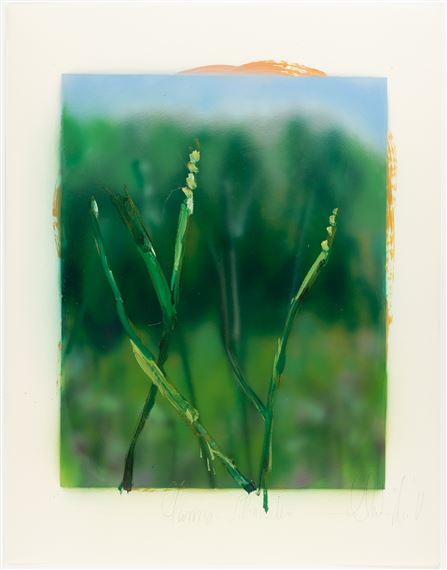 Martin Herler | Floating sweet-grass (2001) | MutualArt