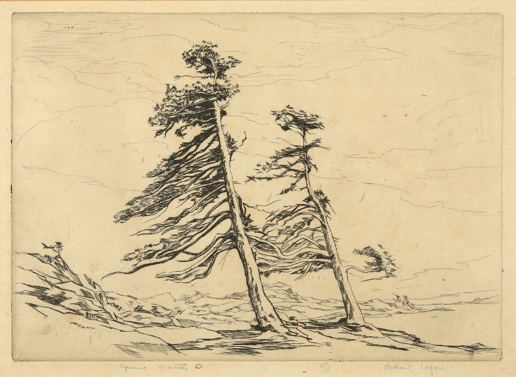 Wind Blowing Trees Drawing