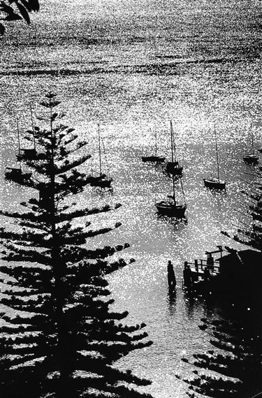 James Alcock | Performance at Auction | MutualArt