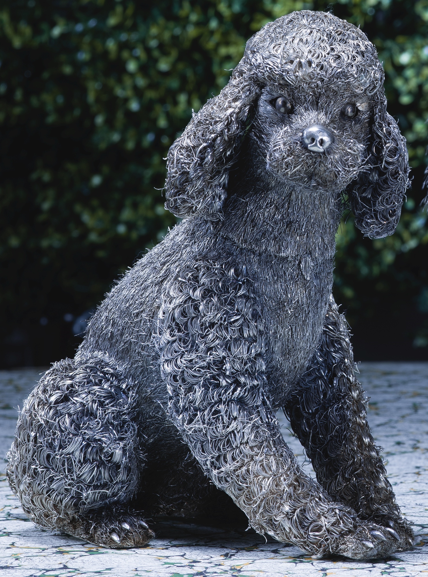 Silver Poodles