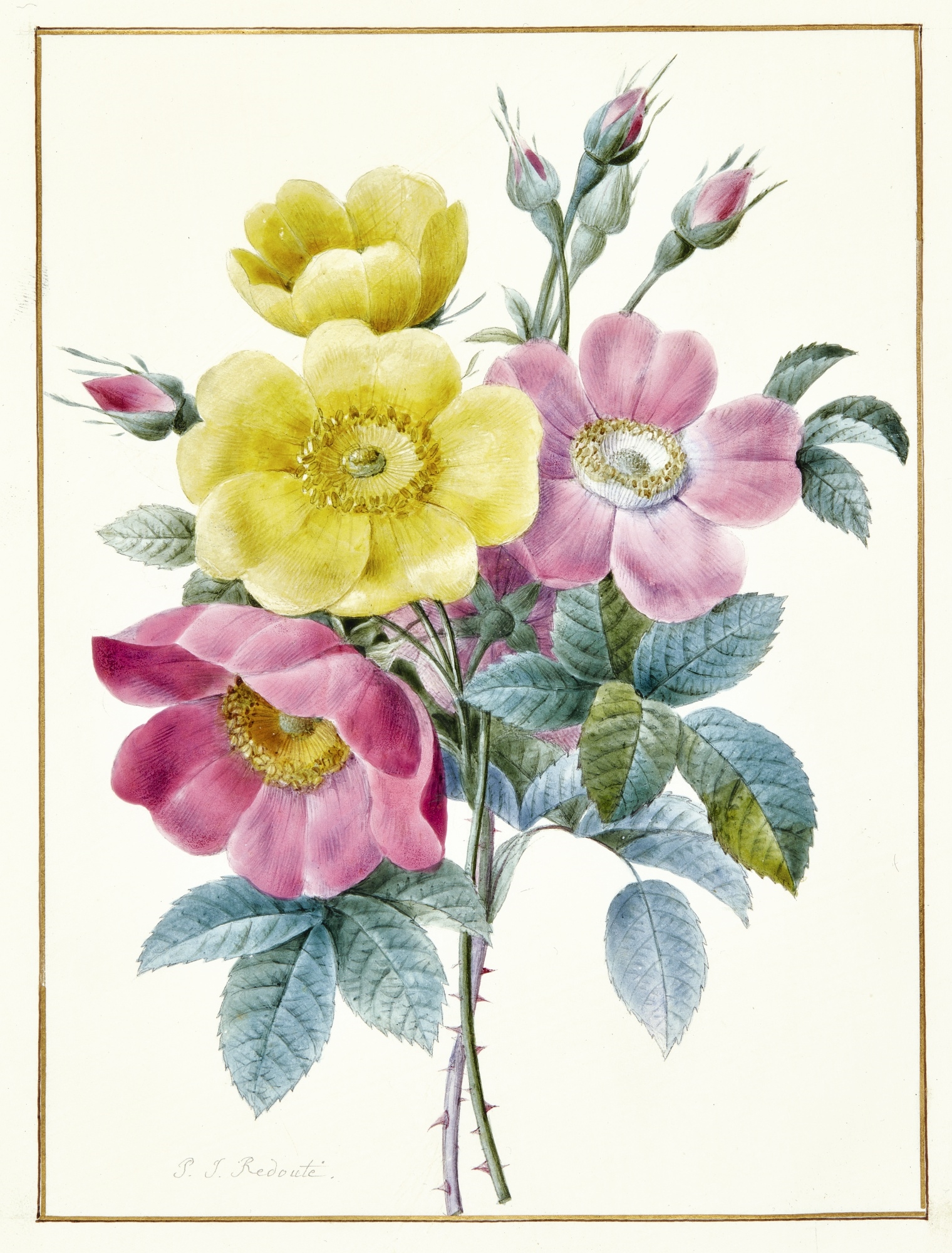 Pierre-Joseph Redoute | BOUQUET OF ROSES | MutualArt