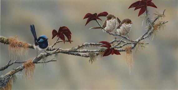 Peta Boyce | Biography