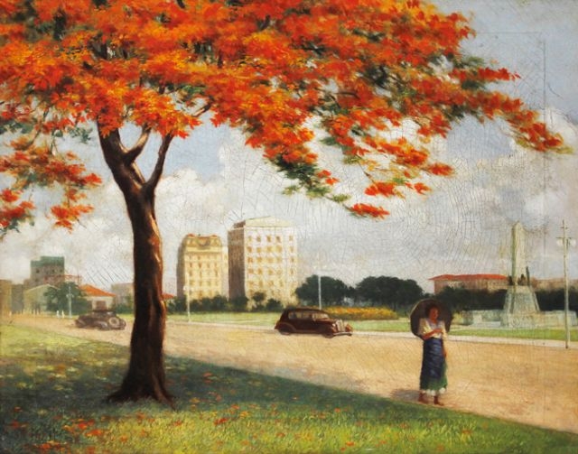 Philippine Fire Tree