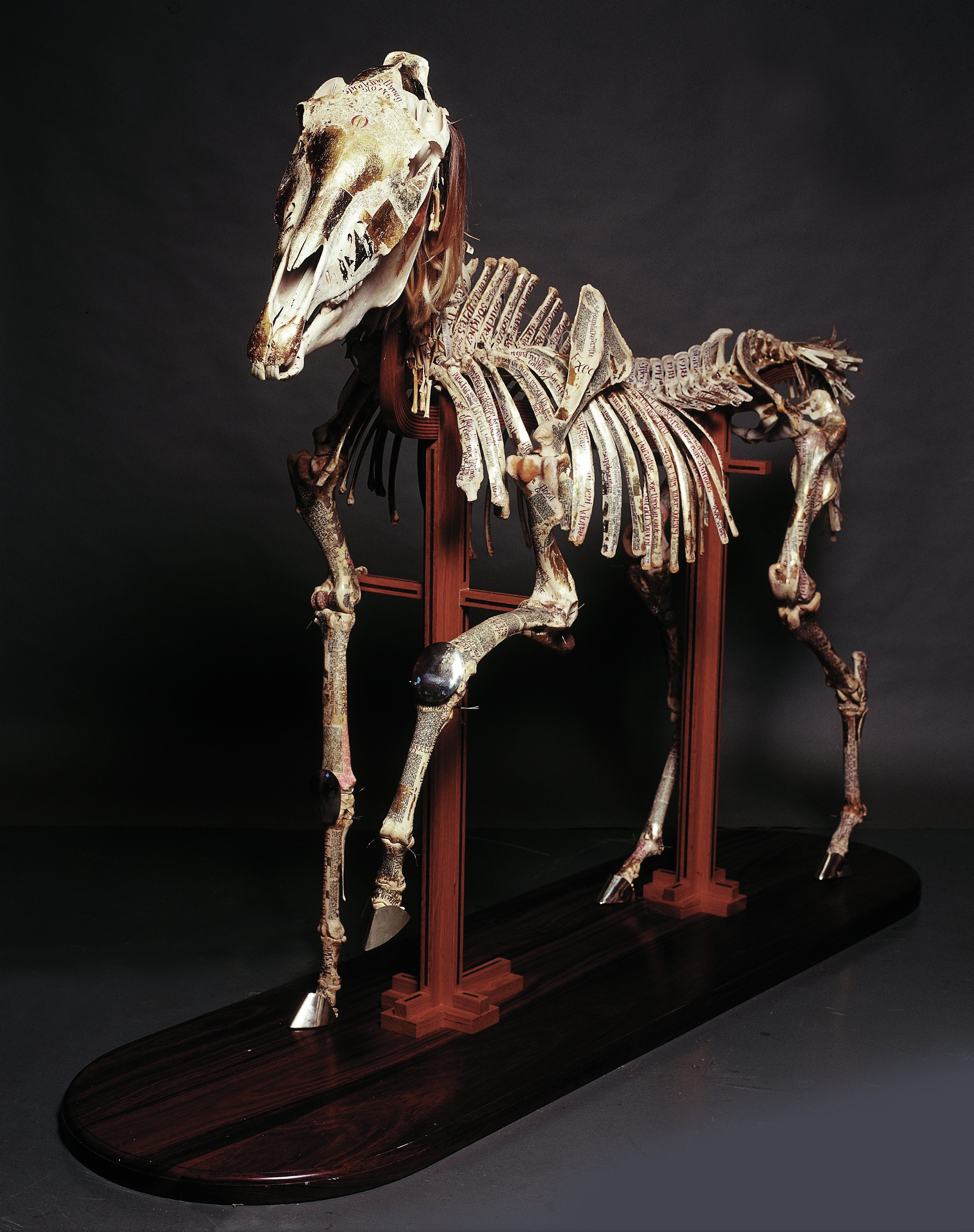 Pippa Skotnes | Book of the Divine Consolation (from the Book of ...
