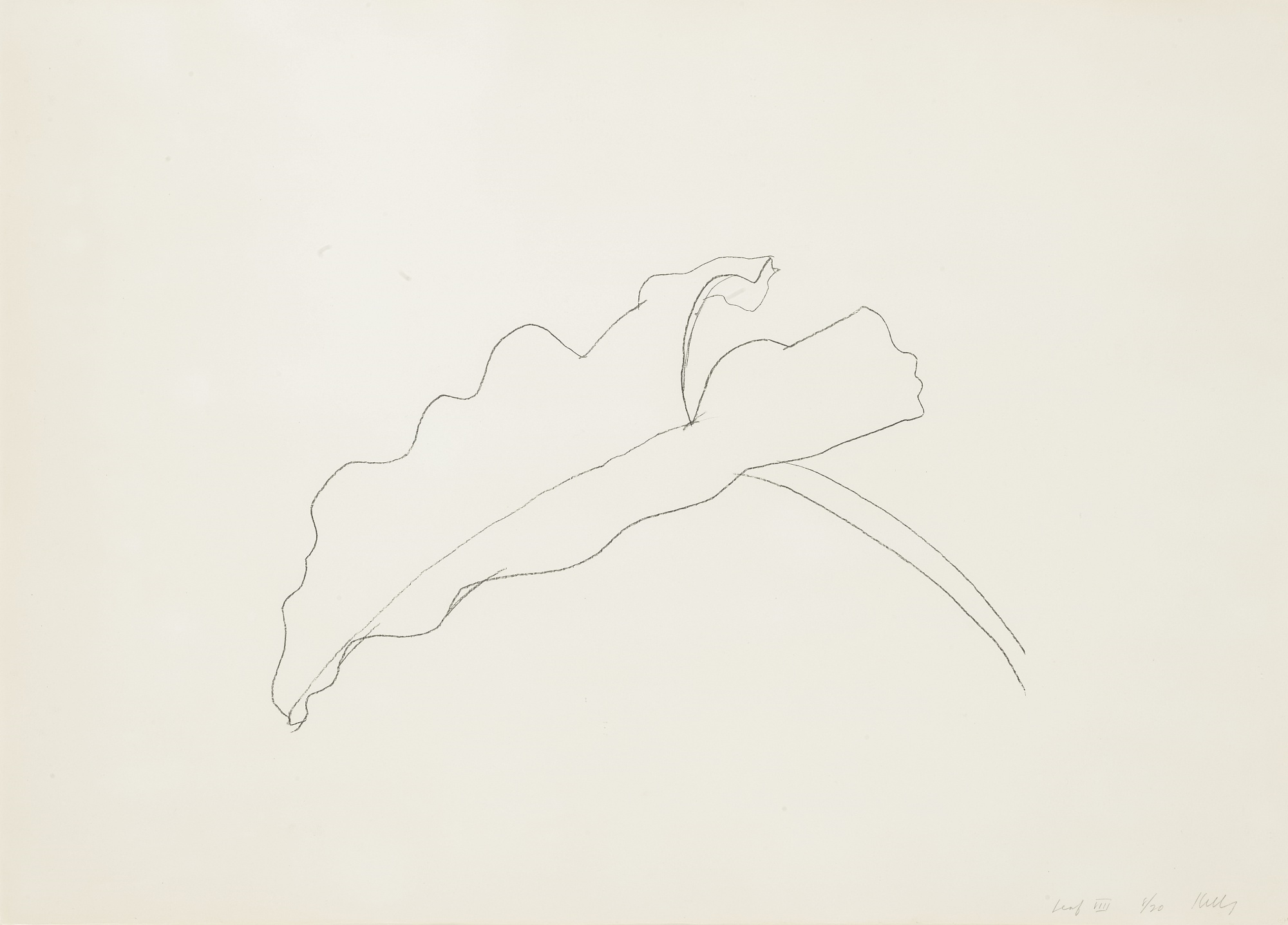 Ellsworth Kelly | Leaf III (A. 168) (1978) | MutualArt
