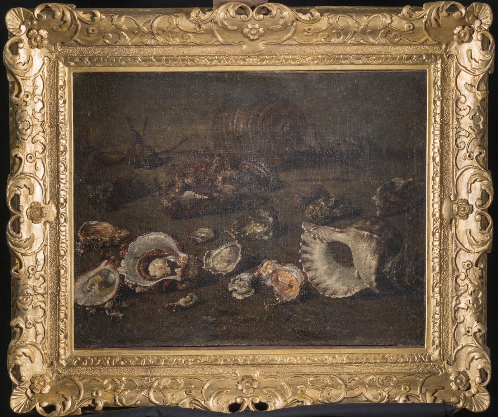 Giuseppe Recco | Coquillages sur la plage | MutualArt