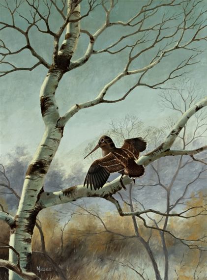 David Maass | Woodcock | MutualArt