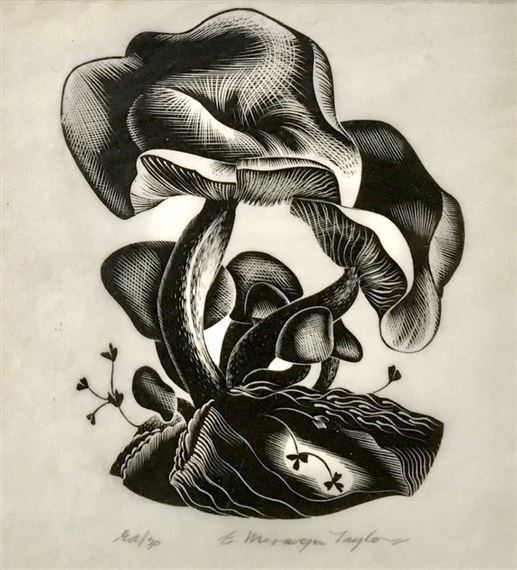E. Mervyn Taylor | Mushrooms | MutualArt