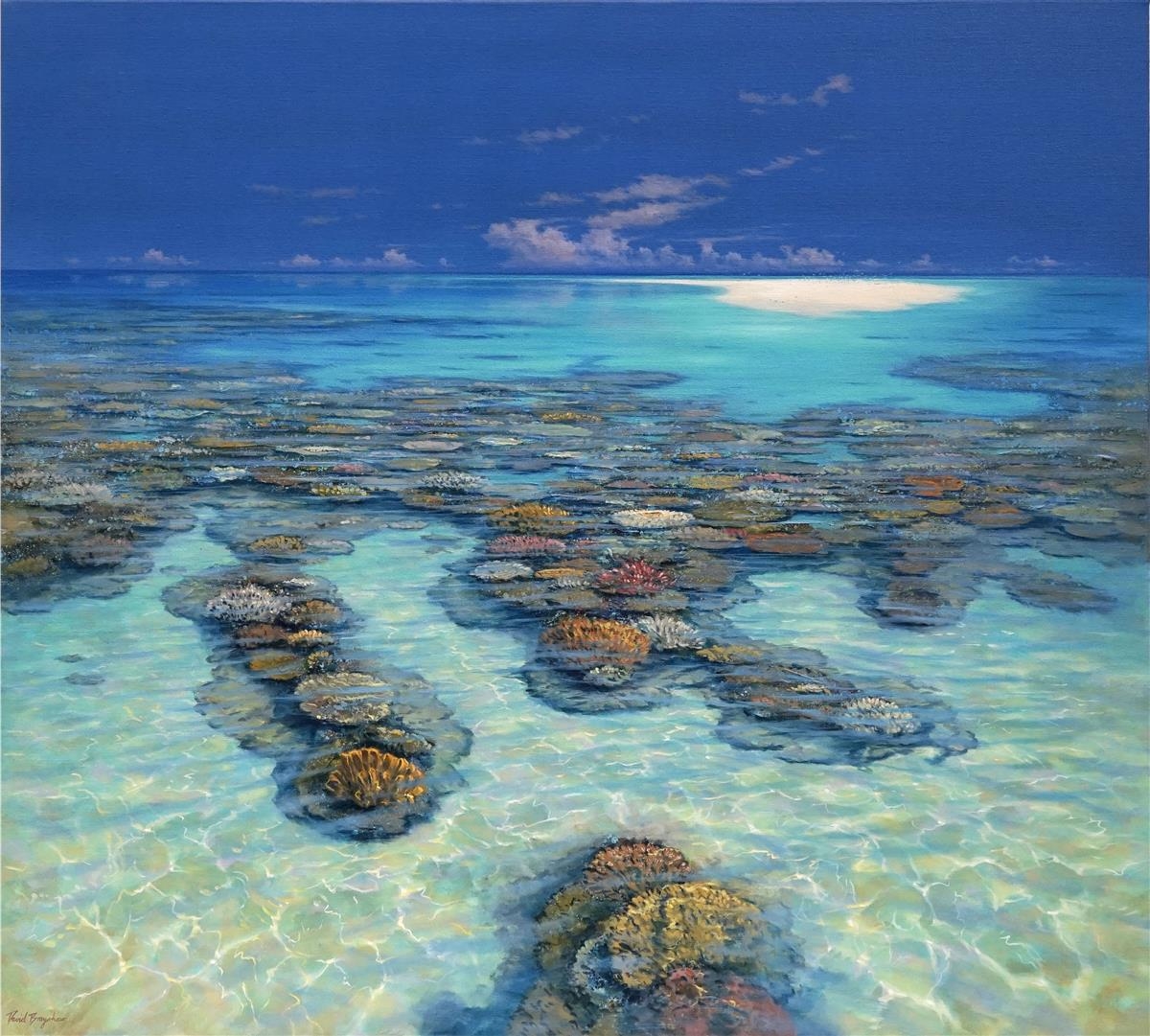 David Brayshaw | Swain Reef, Barrier Reef Series | MutualArt
