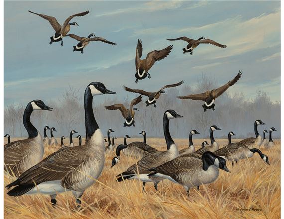 Maynard Reece | Canadian Geese at Horicon | MutualArt