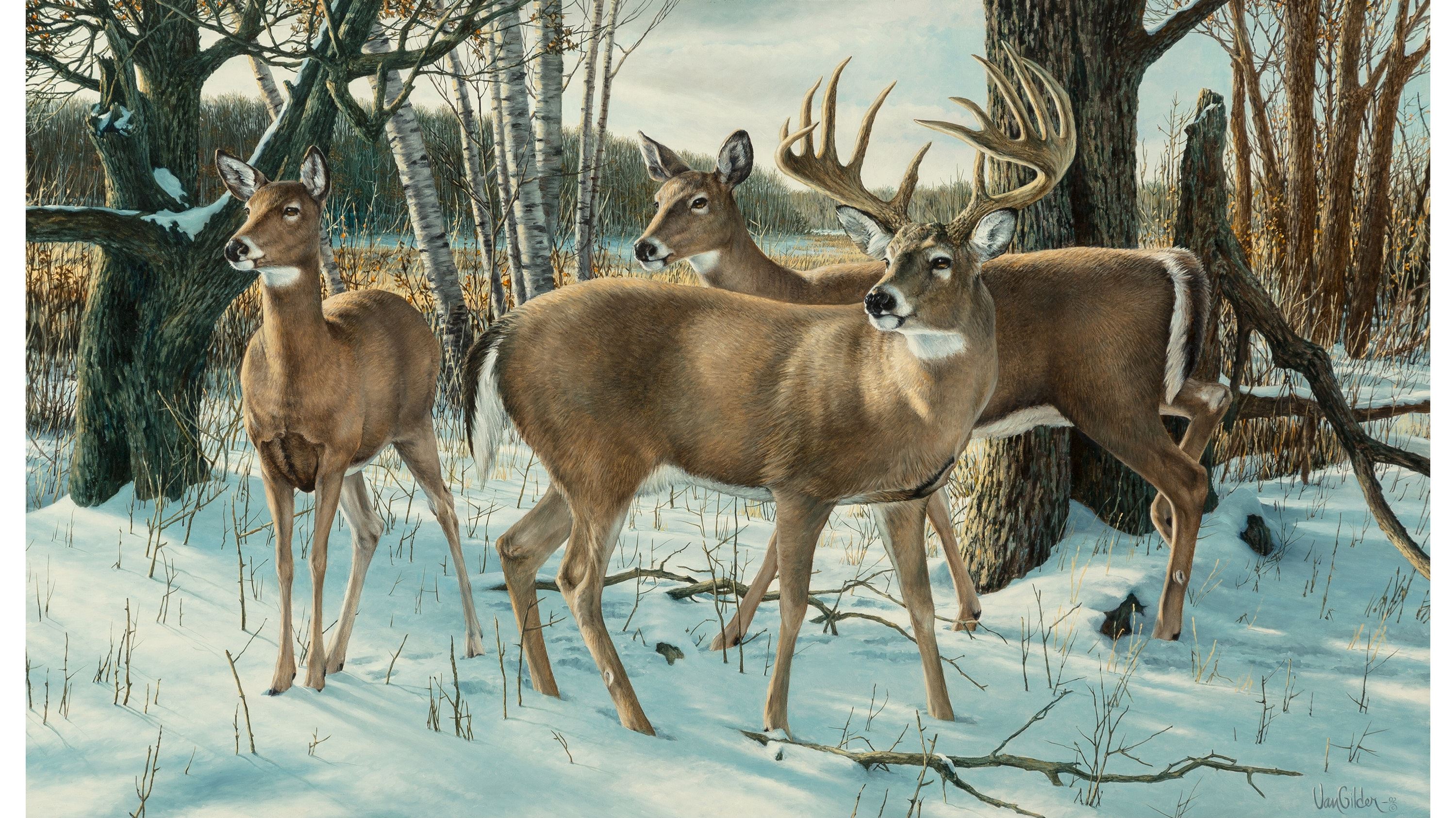 Ron Van Gilder | Ever Watchful (1992) | MutualArt