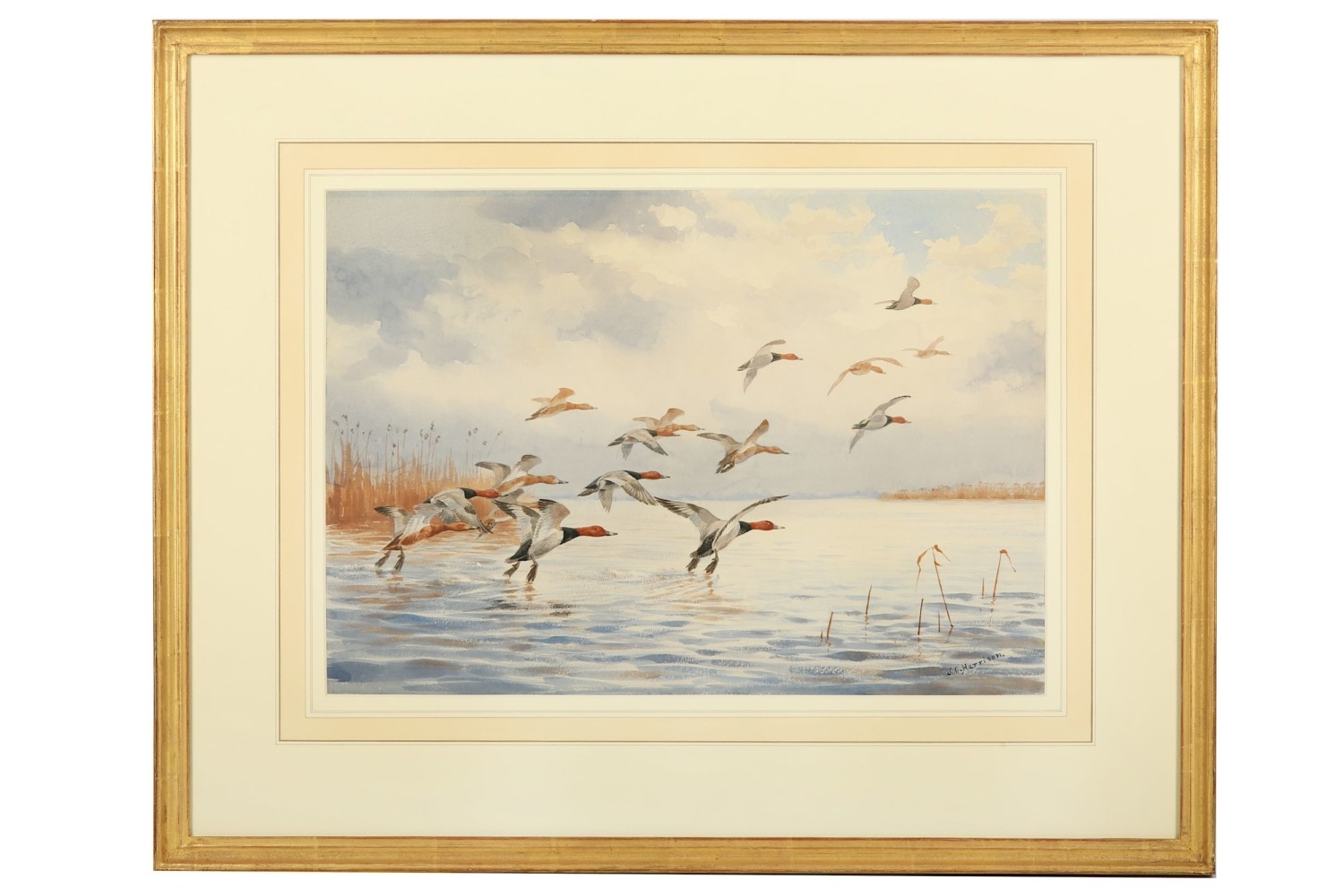 J.C. Harrison | Canvasbacks | MutualArt