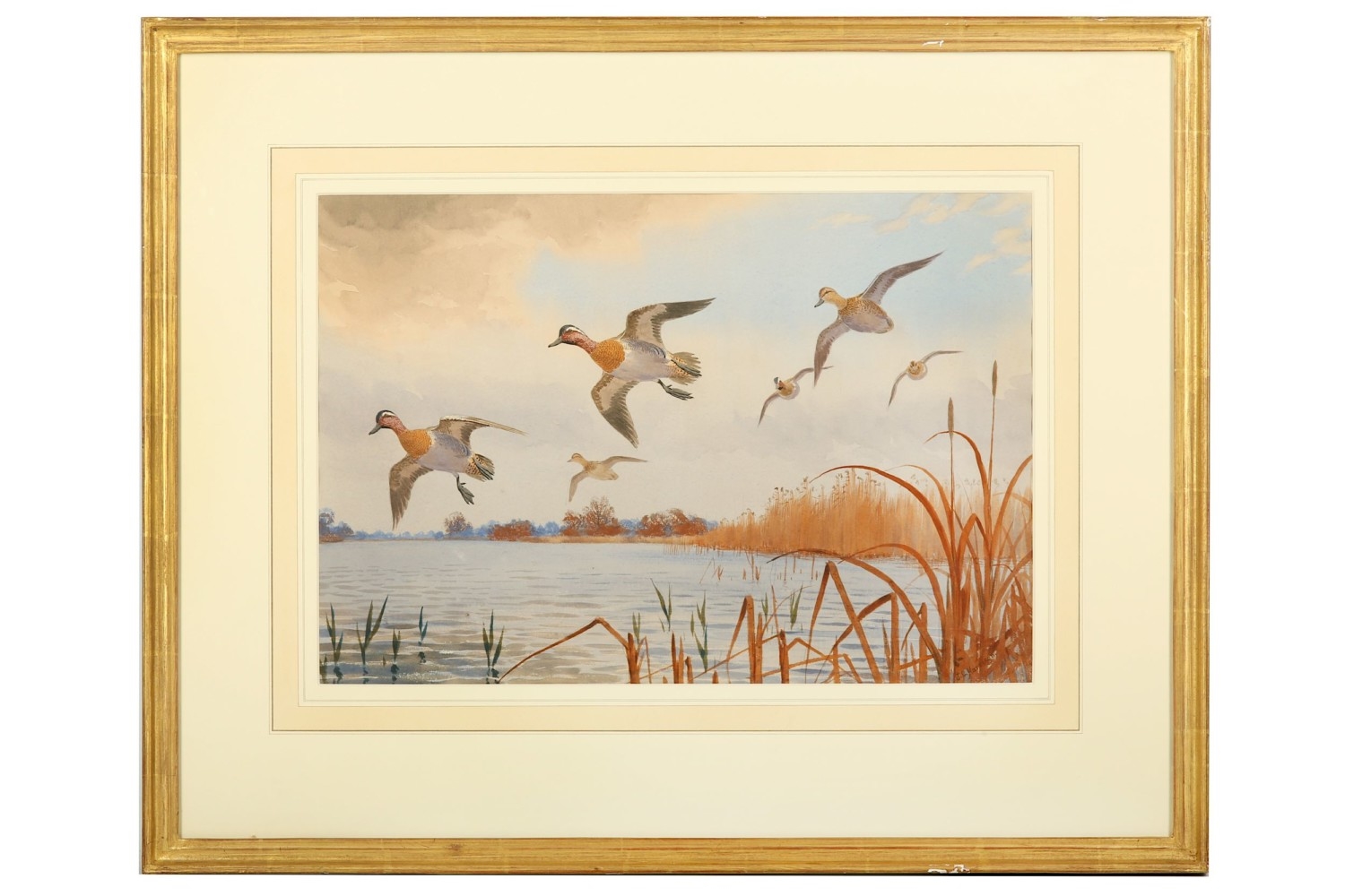 J.C. Harrison | Garganey Ducks in Flight | MutualArt