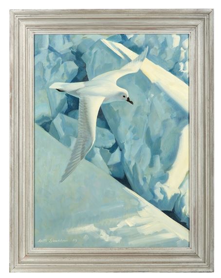 Keith Shackleton | 3 works: An Icelandic Snow Petrel, Low Tide at Ford ...