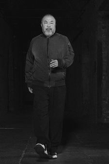 Ai Weiwei | Art Auction Results