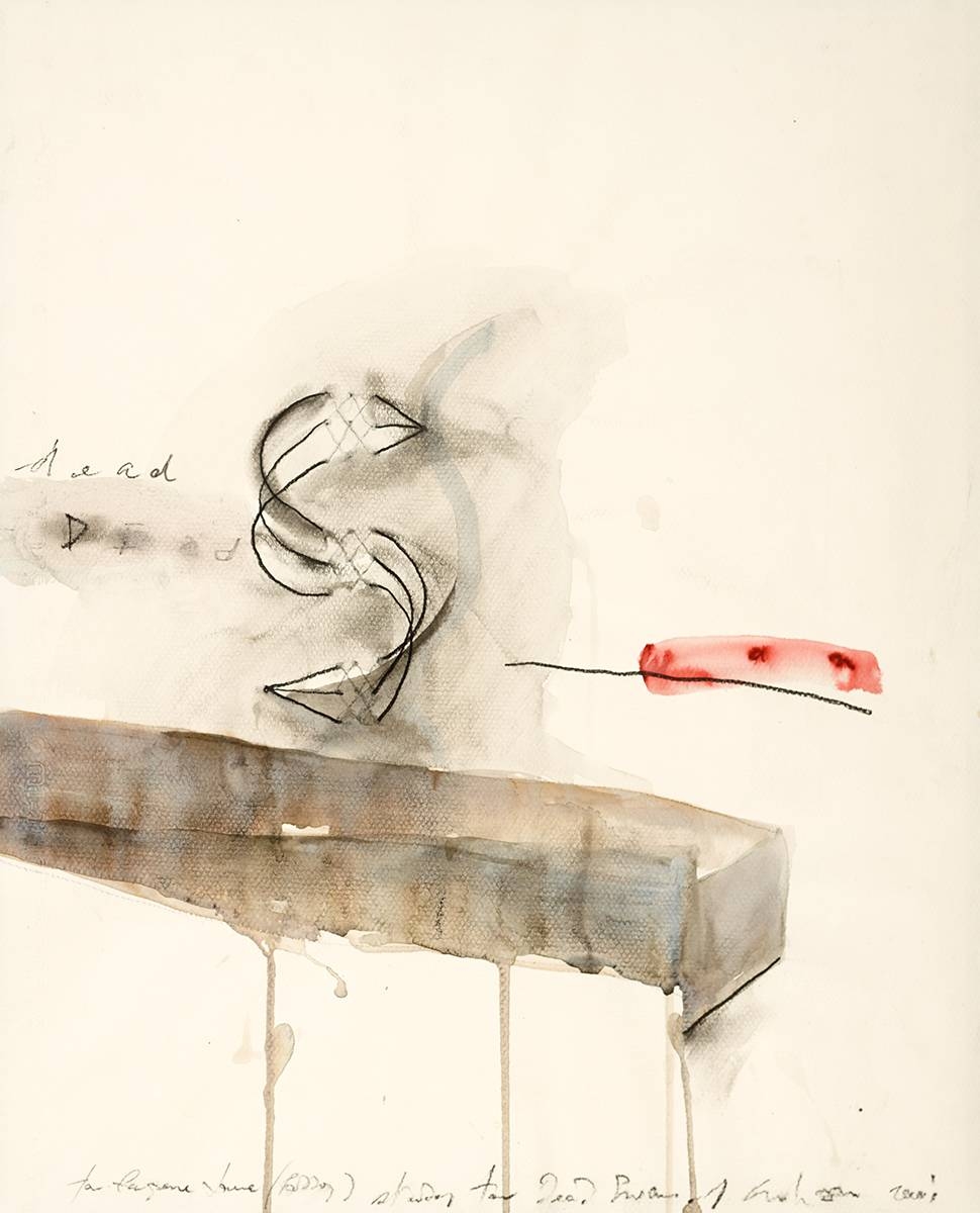 Patrick Graham | TWO DEAD SWANS | MutualArt