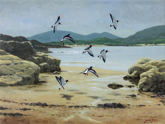 Julian Friers | Oyster Catchers in Flight | MutualArt