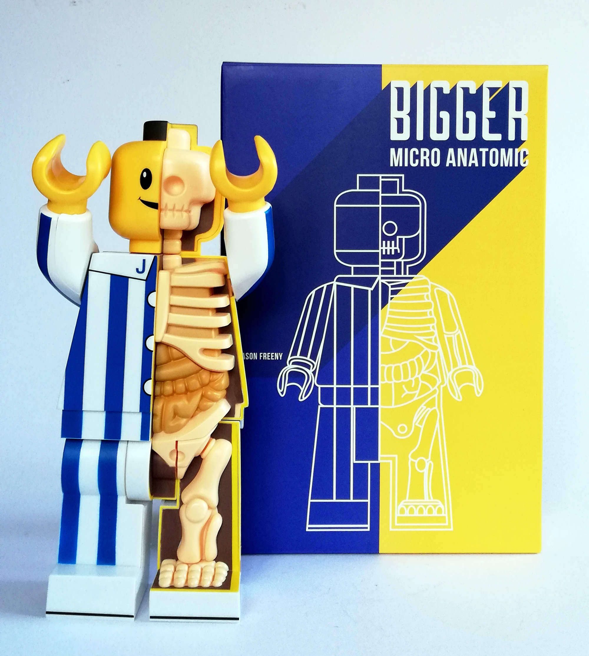 Jason Freeny | Micro Anatomic | MutualArt