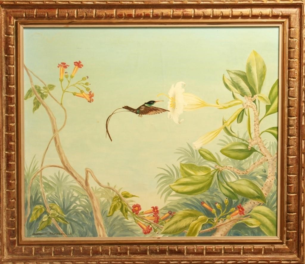 Charles Baskerville | Jamaica Hummingbird (1964) | MutualArt
