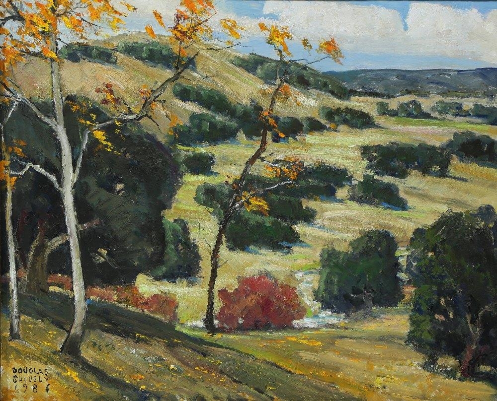 Douglas Shively | Southern California Hills (1986) | MutualArt